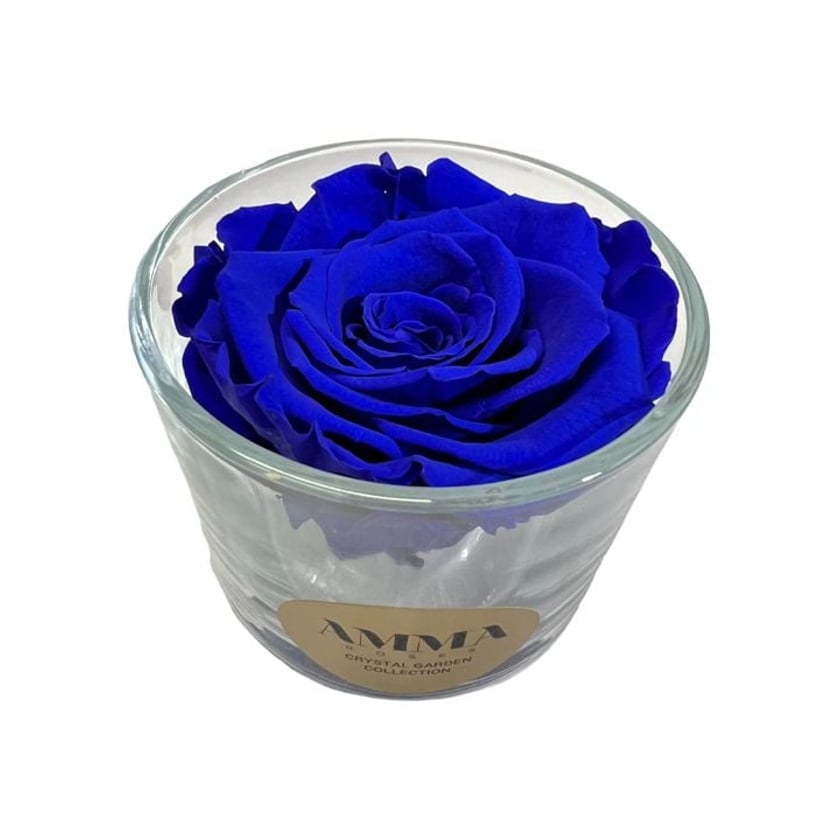 Amma Roses Crystal Garden Blue Velvet Delivery | Παράγγειλε Amma Roses ...