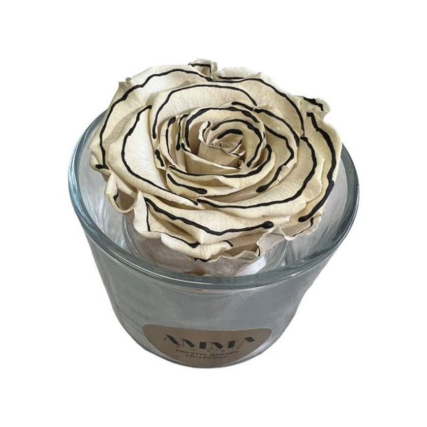 Amma Roses Crystal Garden Zebra Edition Delivery | Παράγγειλε Amma ...