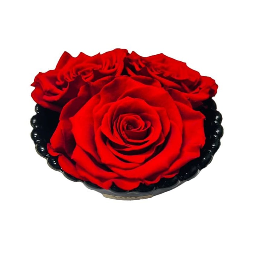 Amma Roses Crystal Garden Sweet Red Delivery | Παράγγειλε Amma Roses ...