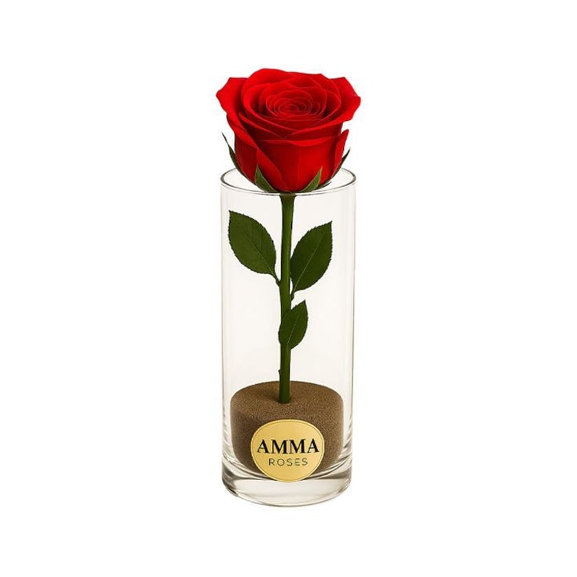 Amma Roses Crystal Garden Vase Red Delivery | Παράγγειλε Amma Roses ...